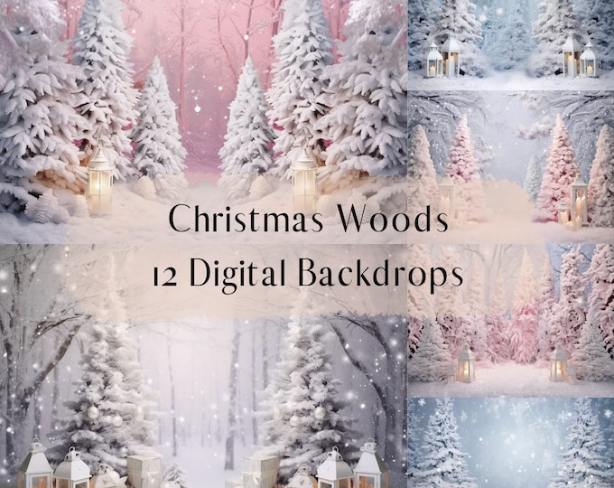 Photography Digital Backdrop for Cake Smash Winter - Etsy