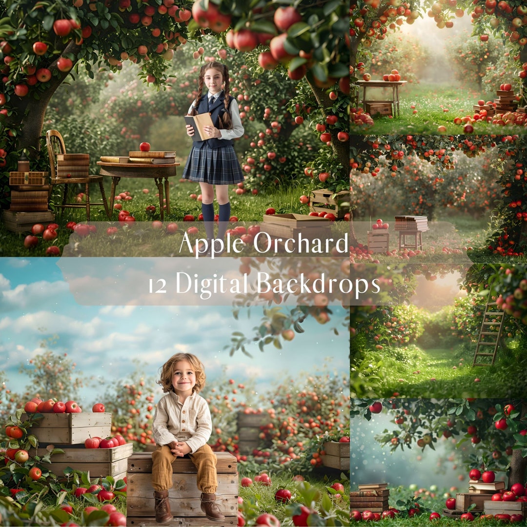 Apple Orchard Digital Backdrops, Fall Harvest, Back to School, Creative ...