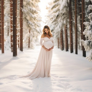 Winter Nature Scene Digital Backdrops, Snowy Forest Woods Bush ...