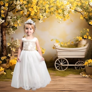 Springtime Whimsy Digital Backdrops, Easter Photo Props, Baby ...
