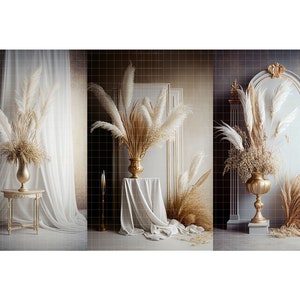 12 Neutral Fine Art Studio Digital Backdrops, Photoshop Overlays ...