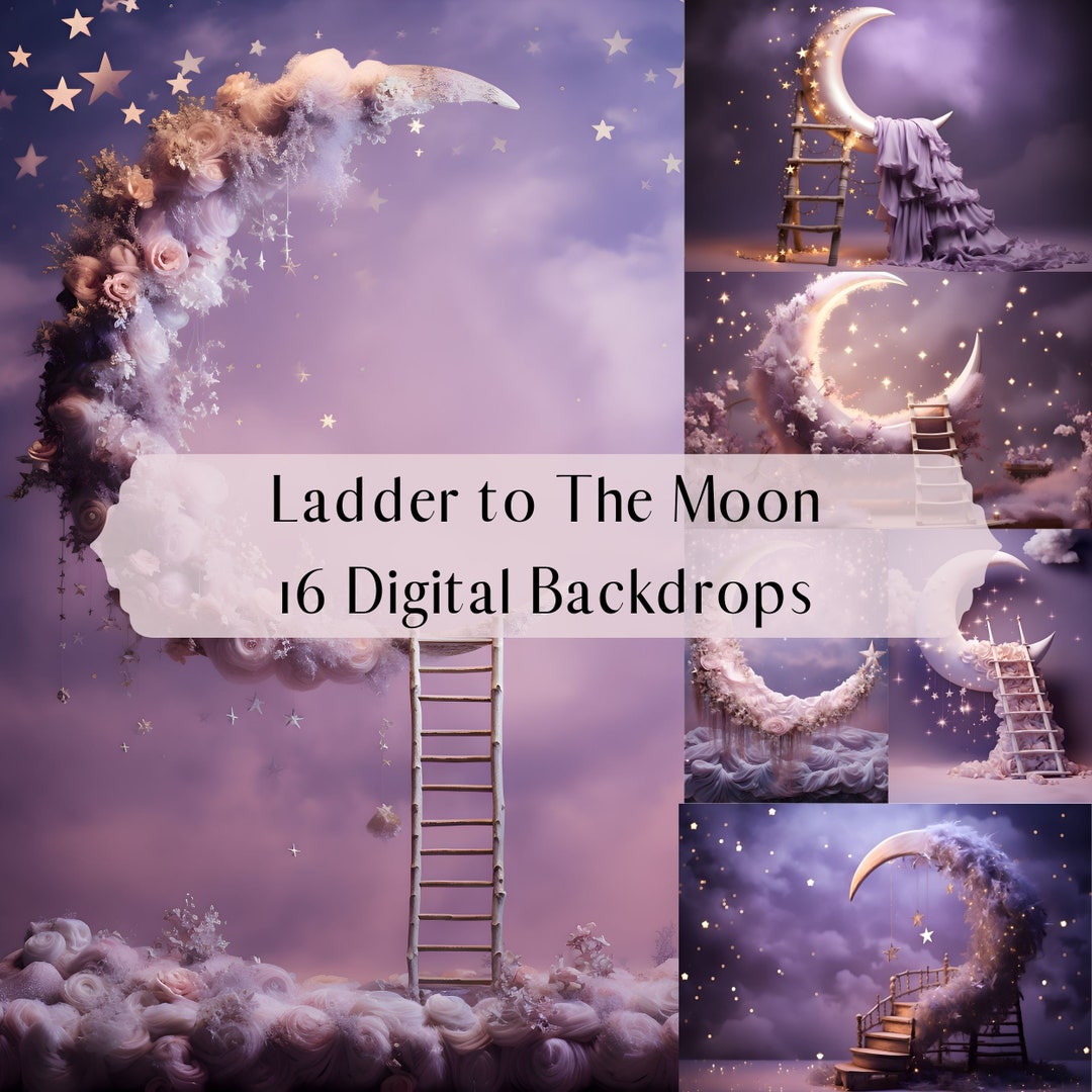 Ladder to the Moon Digital Backdrops, Newborn Maternity Portrait Photo ...