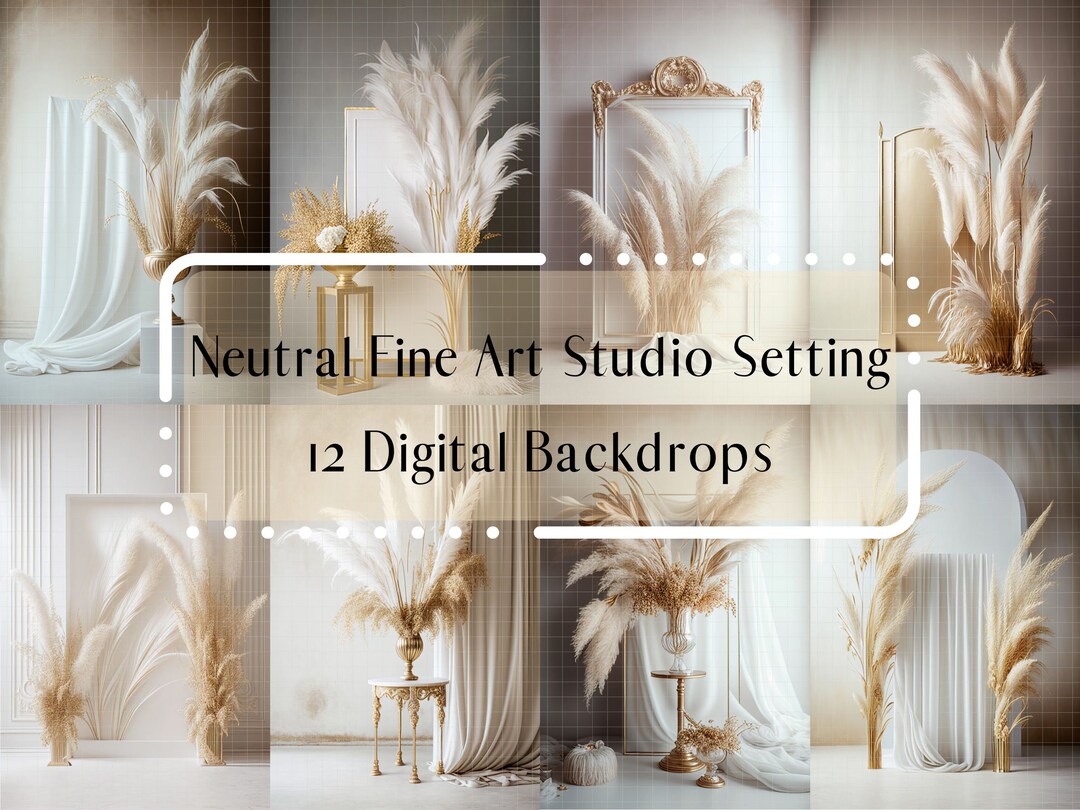 12 Neutral Fine Art Studio Digital Backdrops, Photoshop Overlays ...