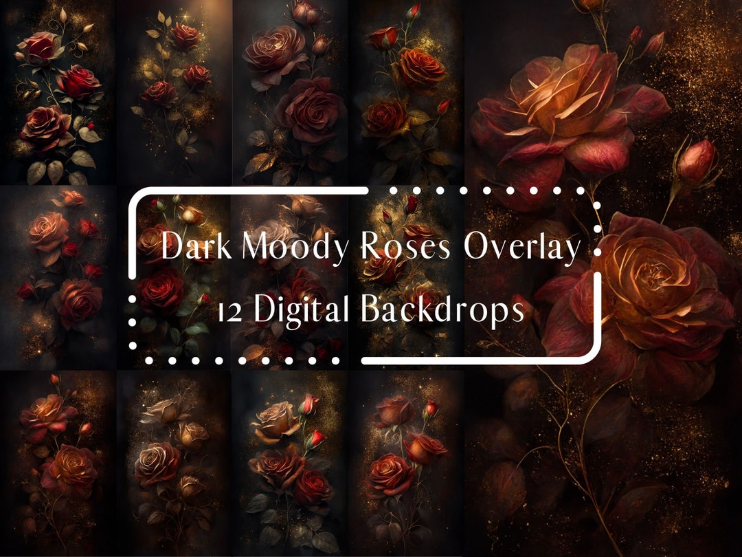 12 Dark Moody Roses Golden Glitter Digital Backdrops, Photoshop Texture ...