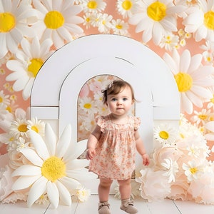 Daisy Flower Panels Digital Backdrops, Child Photography Studio ...