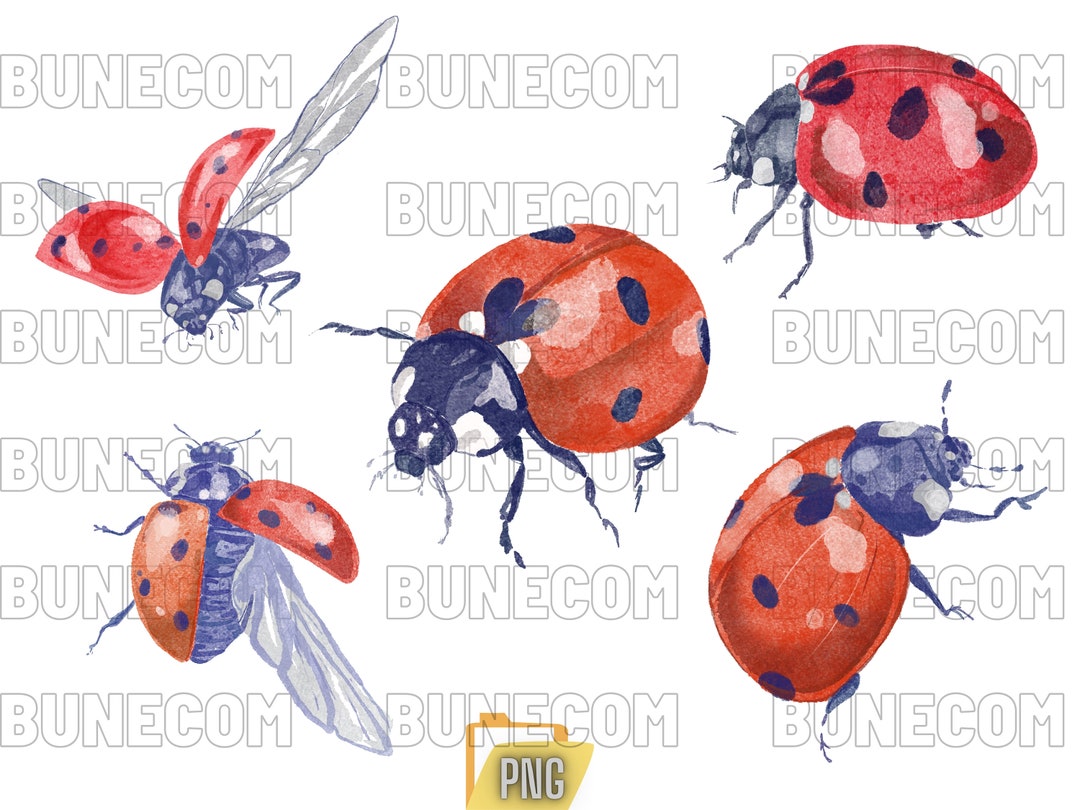 Watercolor Ladybug Clipart Bundle, Floral Cute Lady Bugs Decorative ...