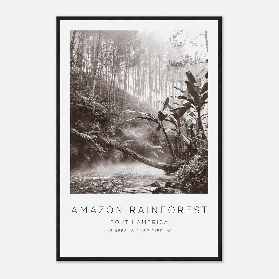 Amazon Rainforest South America Travel Photo Poster BW, Amazon ...