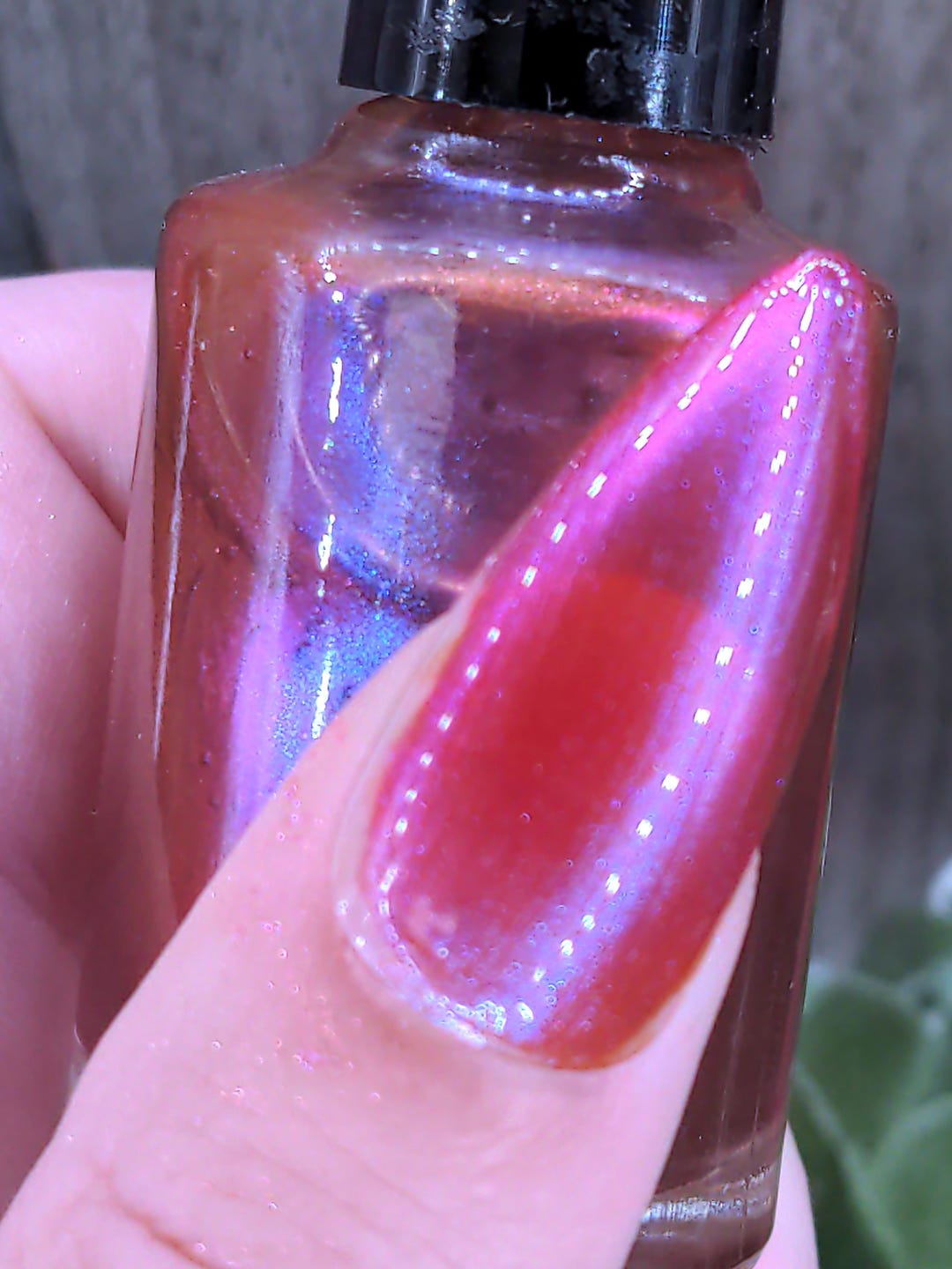 RAISIN SHIFT Color Shift Chameleon Nail Polish, Brown Gold Mauve Color ...