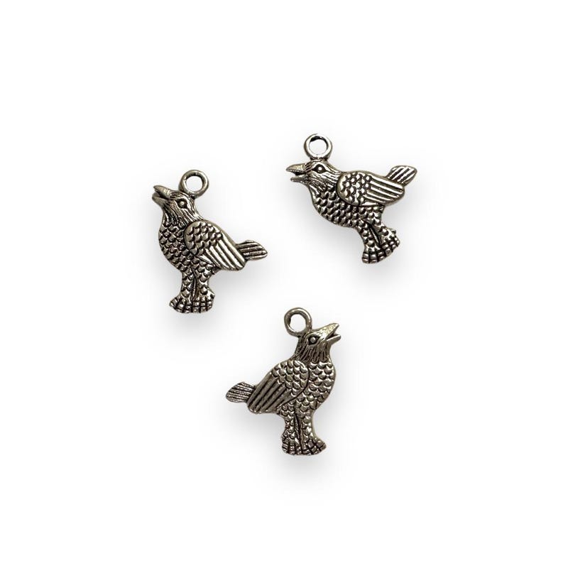 Crow Charm - Etsy