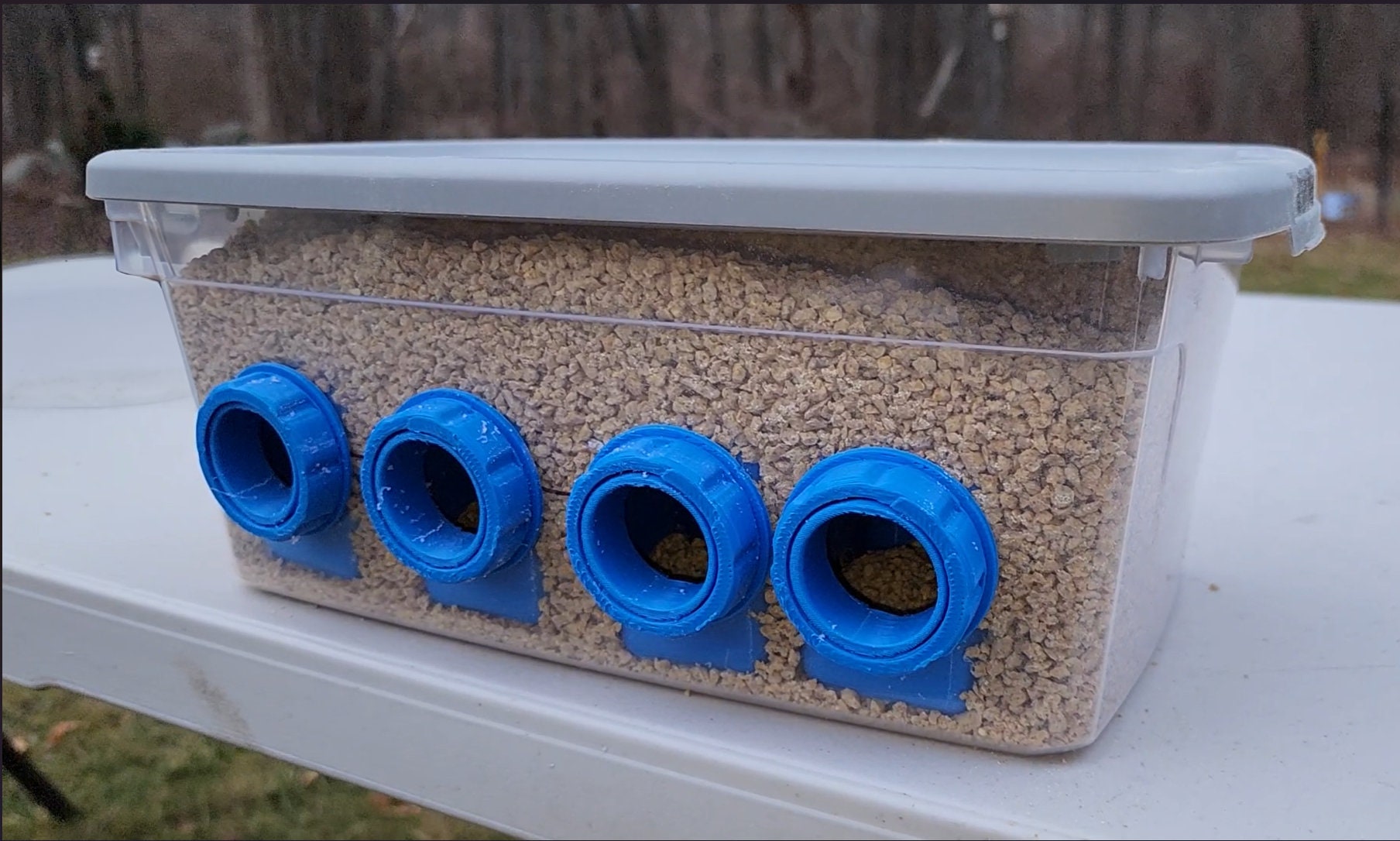 Quail No-waste Feeder Port, No-glue Needed, DIY Feeder, Free Shipping ...