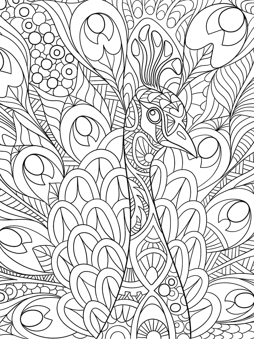 Giant Coloring Poster | Peacock Coloring Page | Creative Coloring Page ...