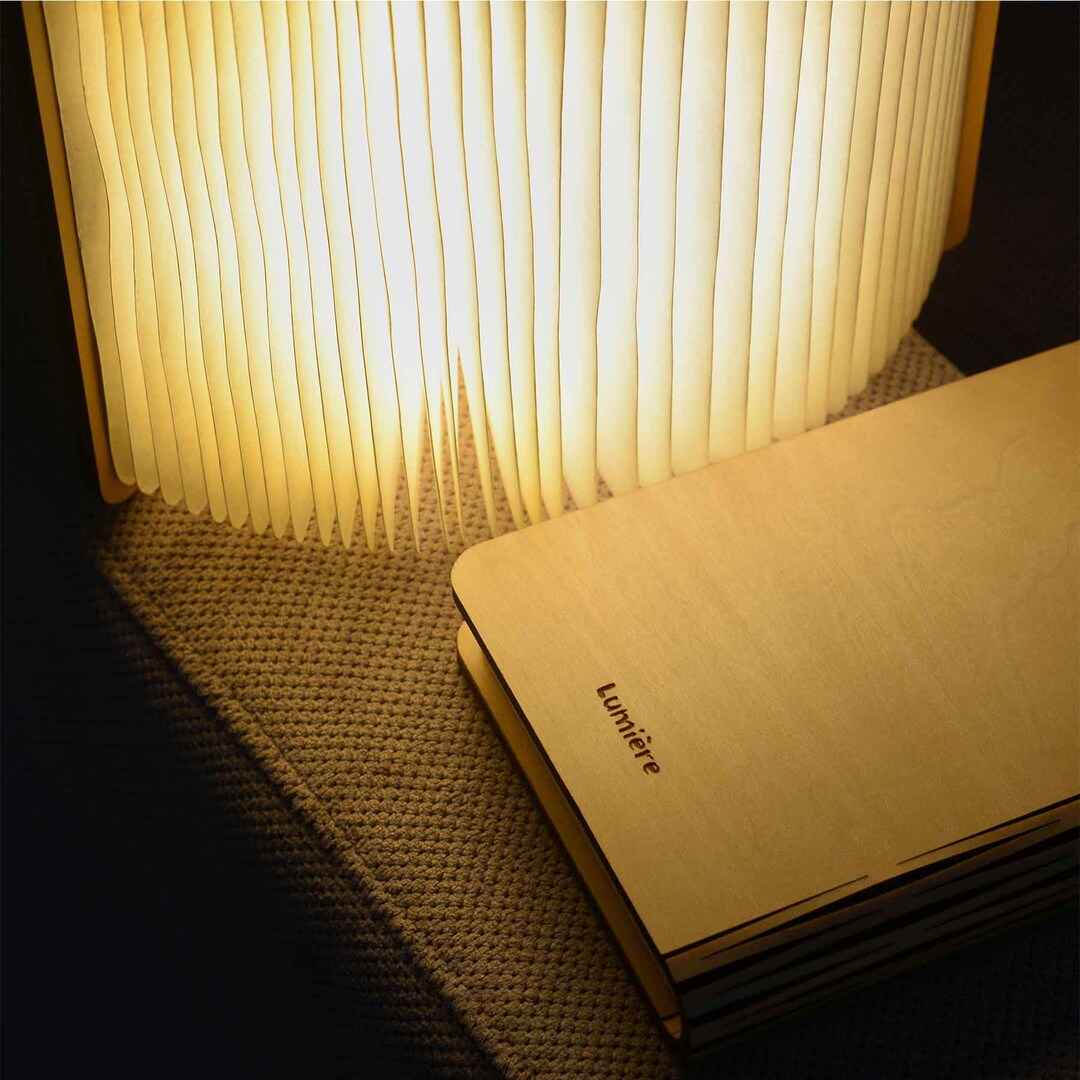 Lumiere Book Lamp: A Sleek and Efficient Reading Light for Your ...