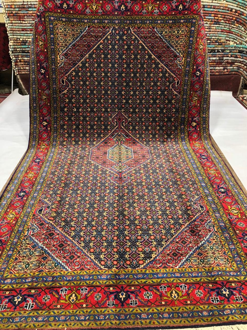 Area Rug Persian Soft Floral Rug 6x10, Rugs for Living Room Afghan Wool ...