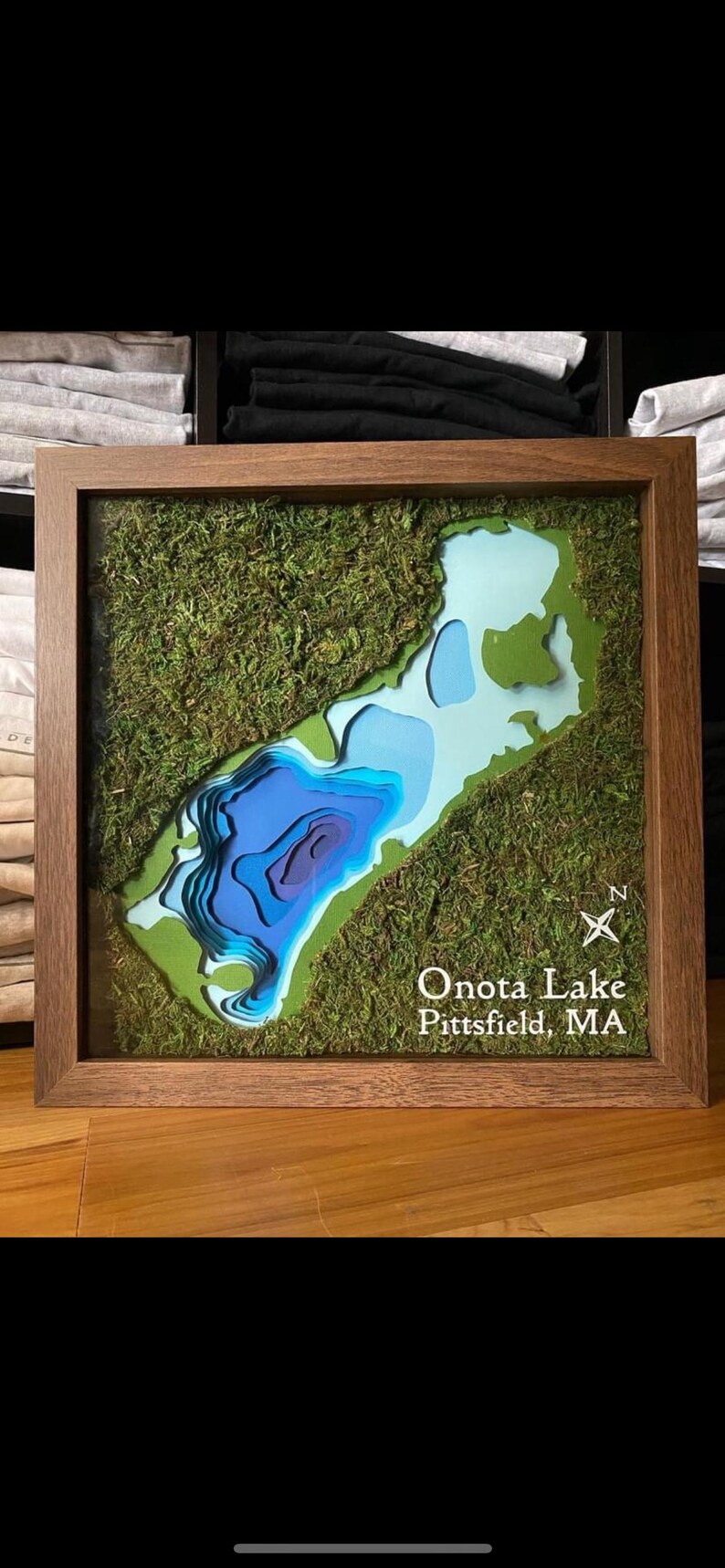 Onota Lake Framed 3D Paper & Moss Wall Art - Etsy