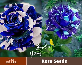 GardenFlowerSeed - Etsy