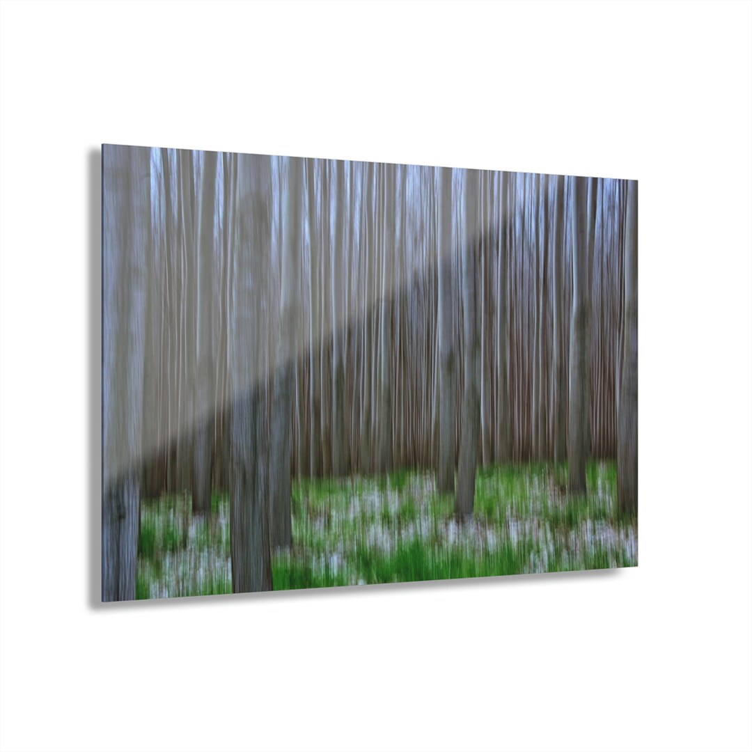 Abstract Forest of Poplar Trees Using ICM Technique. Acrylic Prints ...