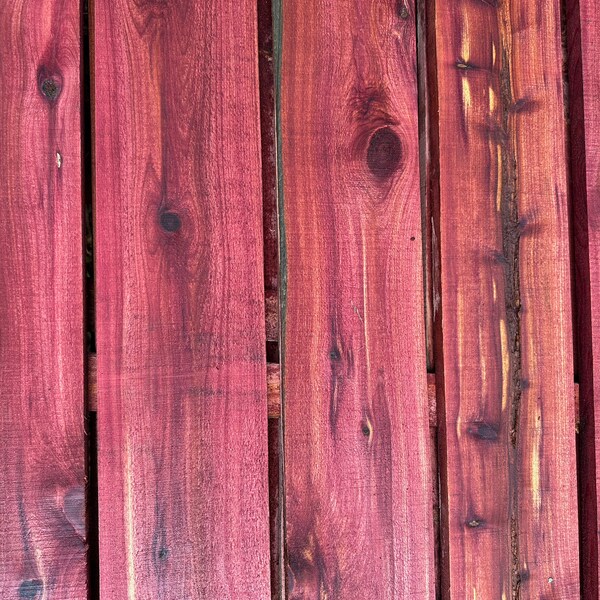 Eastern Red Cedar - Etsy