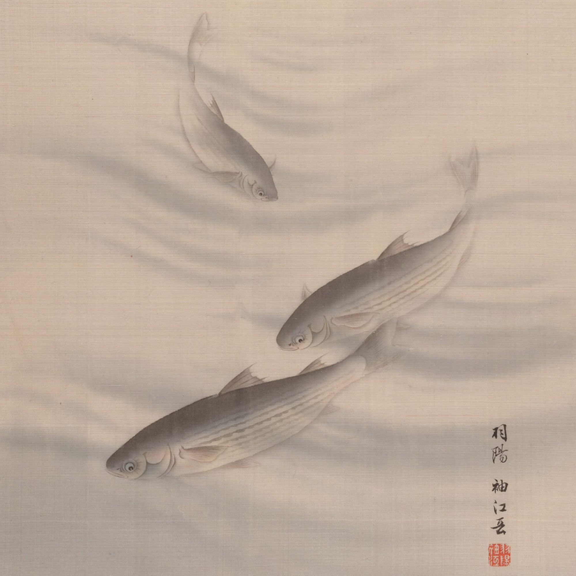 Fishes Swimming Print Poster Art, Digital Wall Art Print, Digital ...