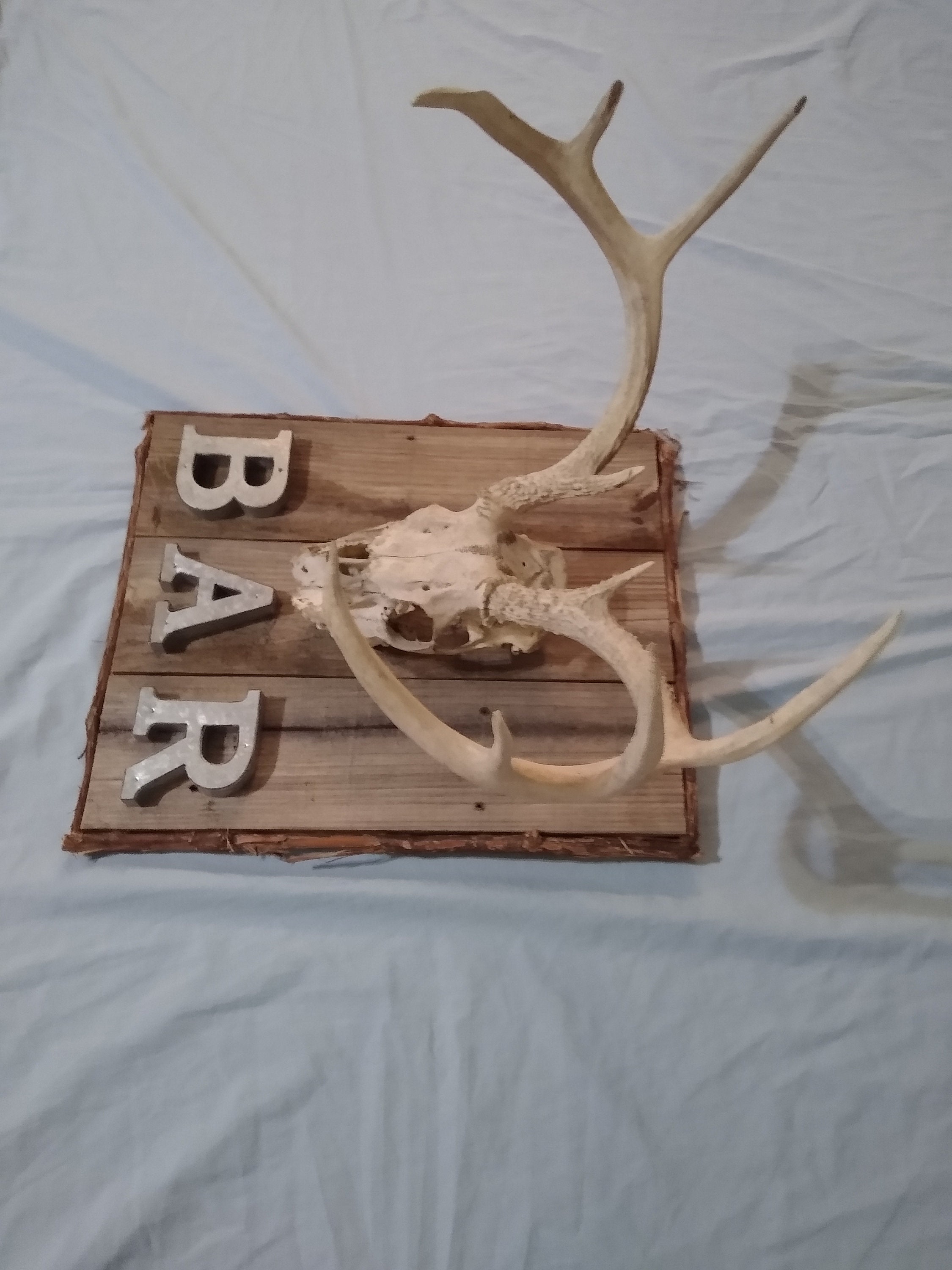 Large Buck Skull With Antlers Bar Sign/mancave Decor-price Cut in Half ...