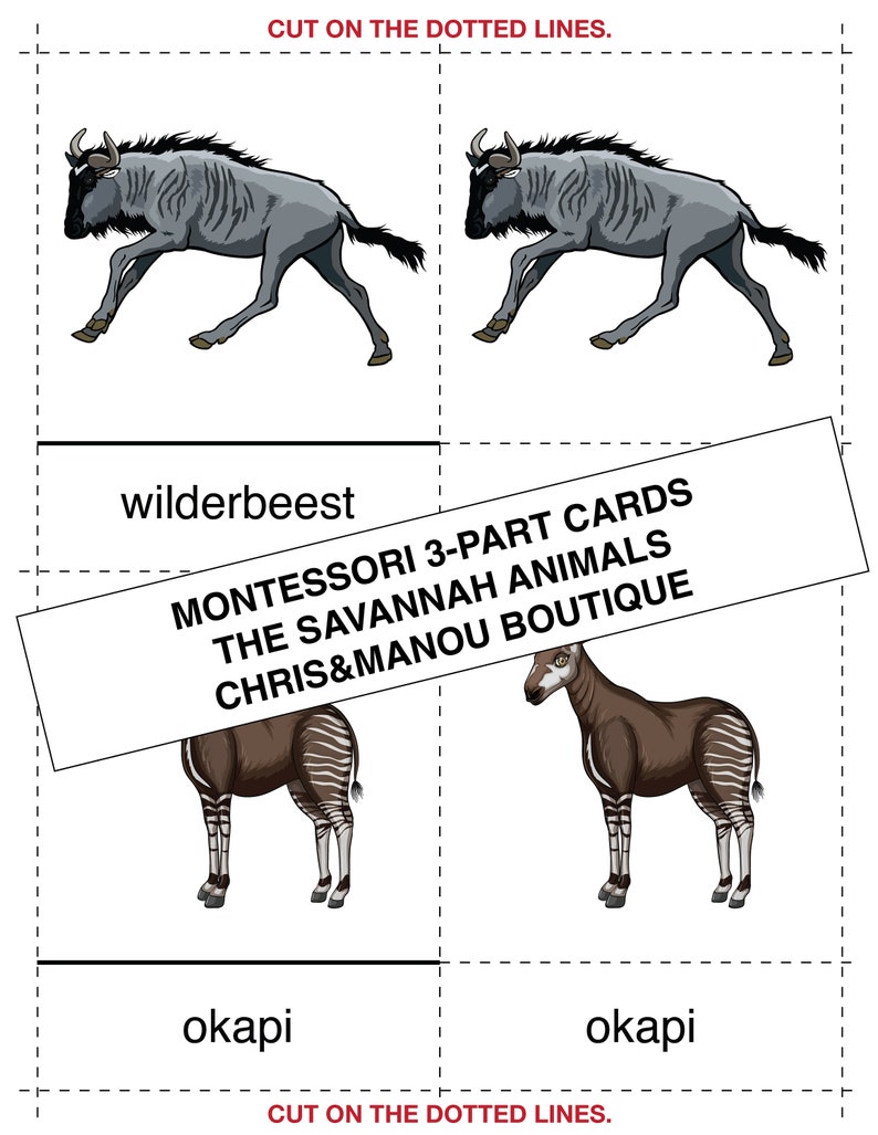 The Savannah Animals Montessori 3-part Cards - Etsy