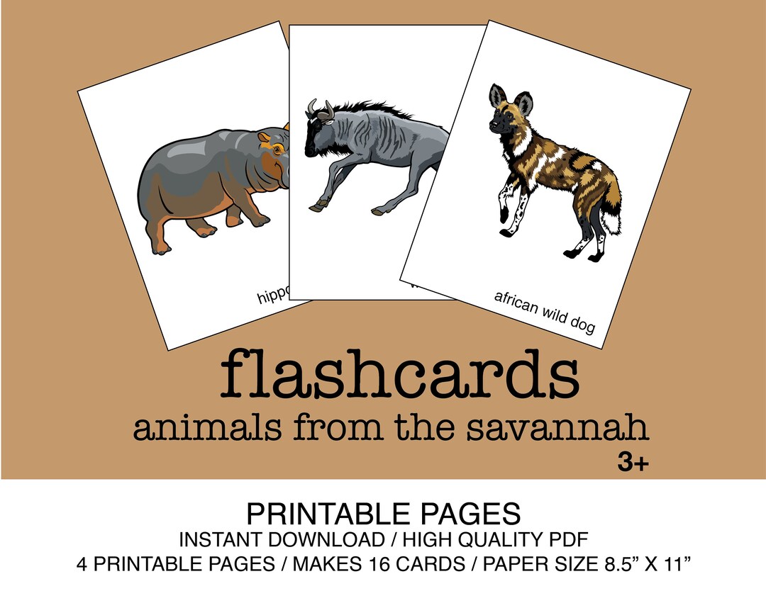 The Savannah Animals Flashcards - Etsy