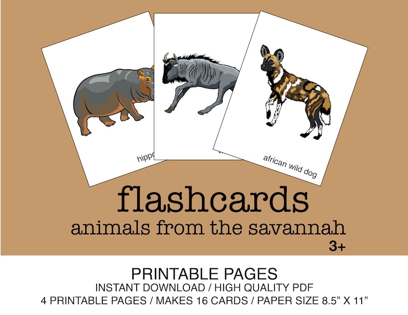 The Savannah Animals Flashcards - Etsy