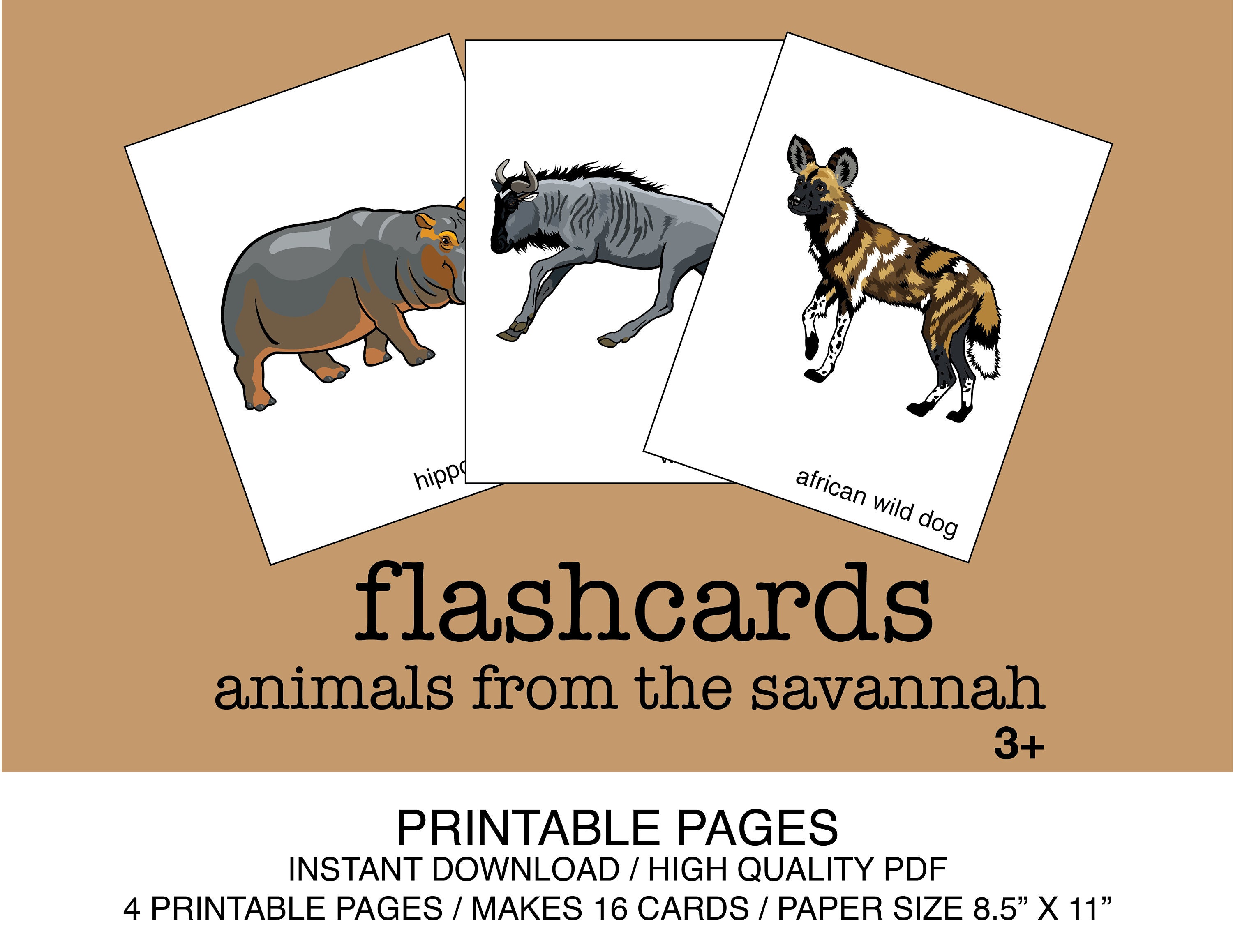 The Savannah Animals Flashcards - Etsy
