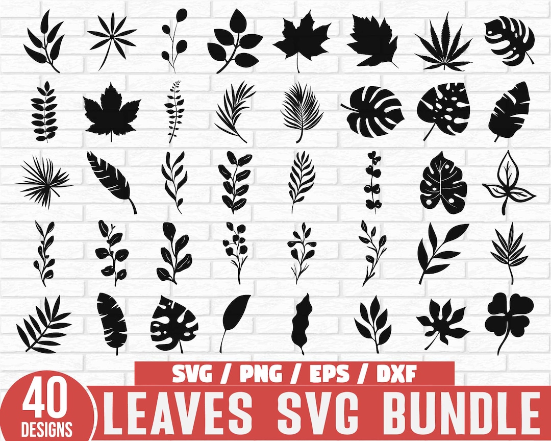 Leaves Svg Bundle, Hand Drawn Leaves SVG, Tropical Leaves Svg, Monstera ...