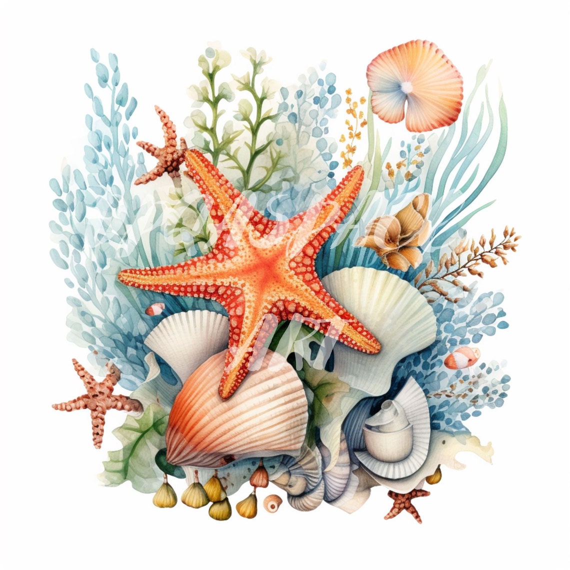 Seashell Clipart, Scrapbook, Card Making 15 High-quality Jpgs Used for ...