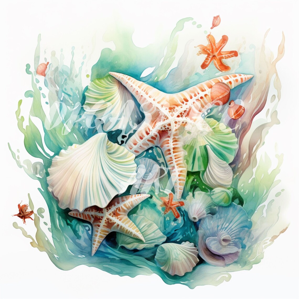 Seashell Clipart, Scrapbook, Card Making 15 High-quality Jpgs Used for ...