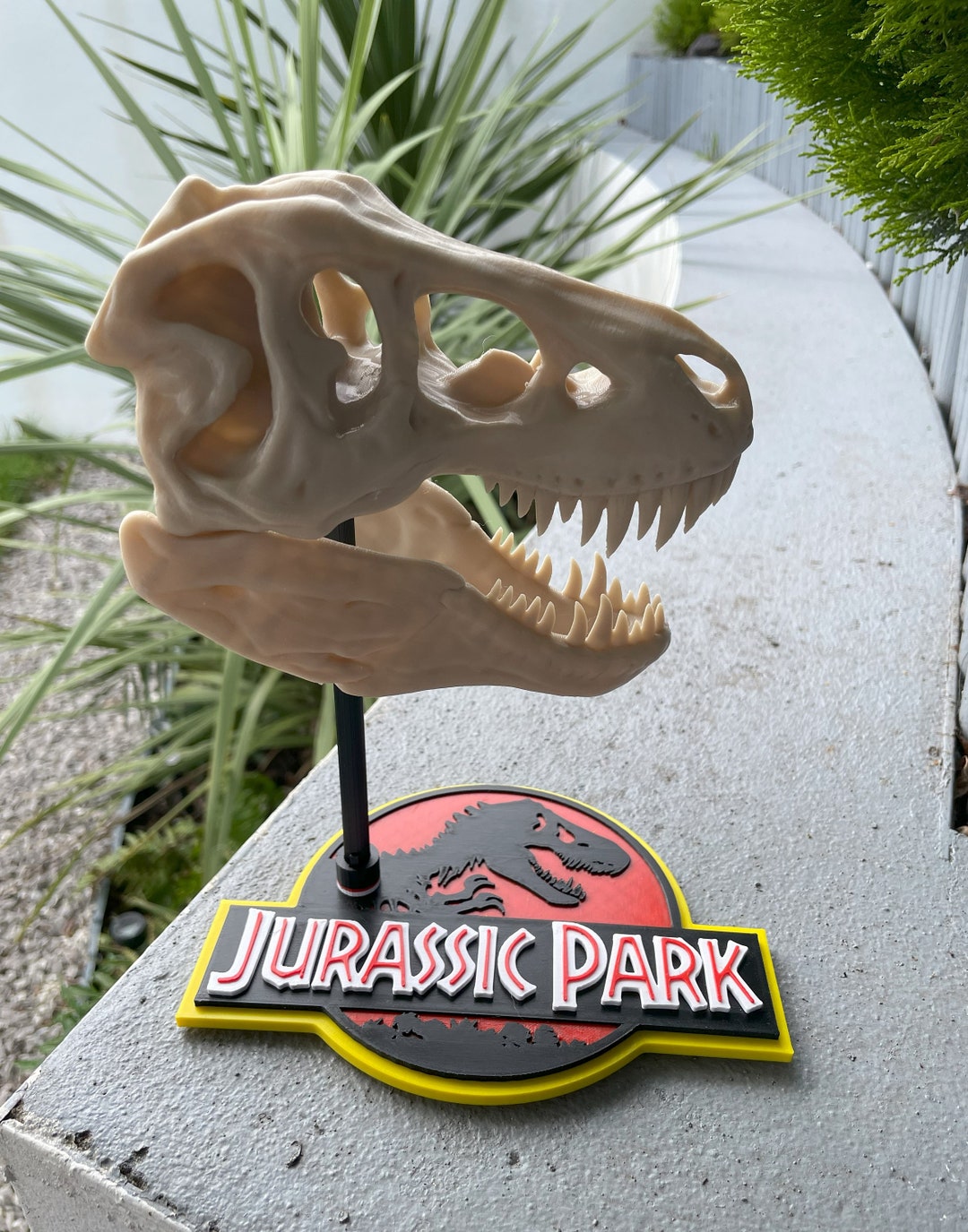 Tyrannosaurus Rex T-rex Skull Jurassic Park Dinosaur Replica - Etsy