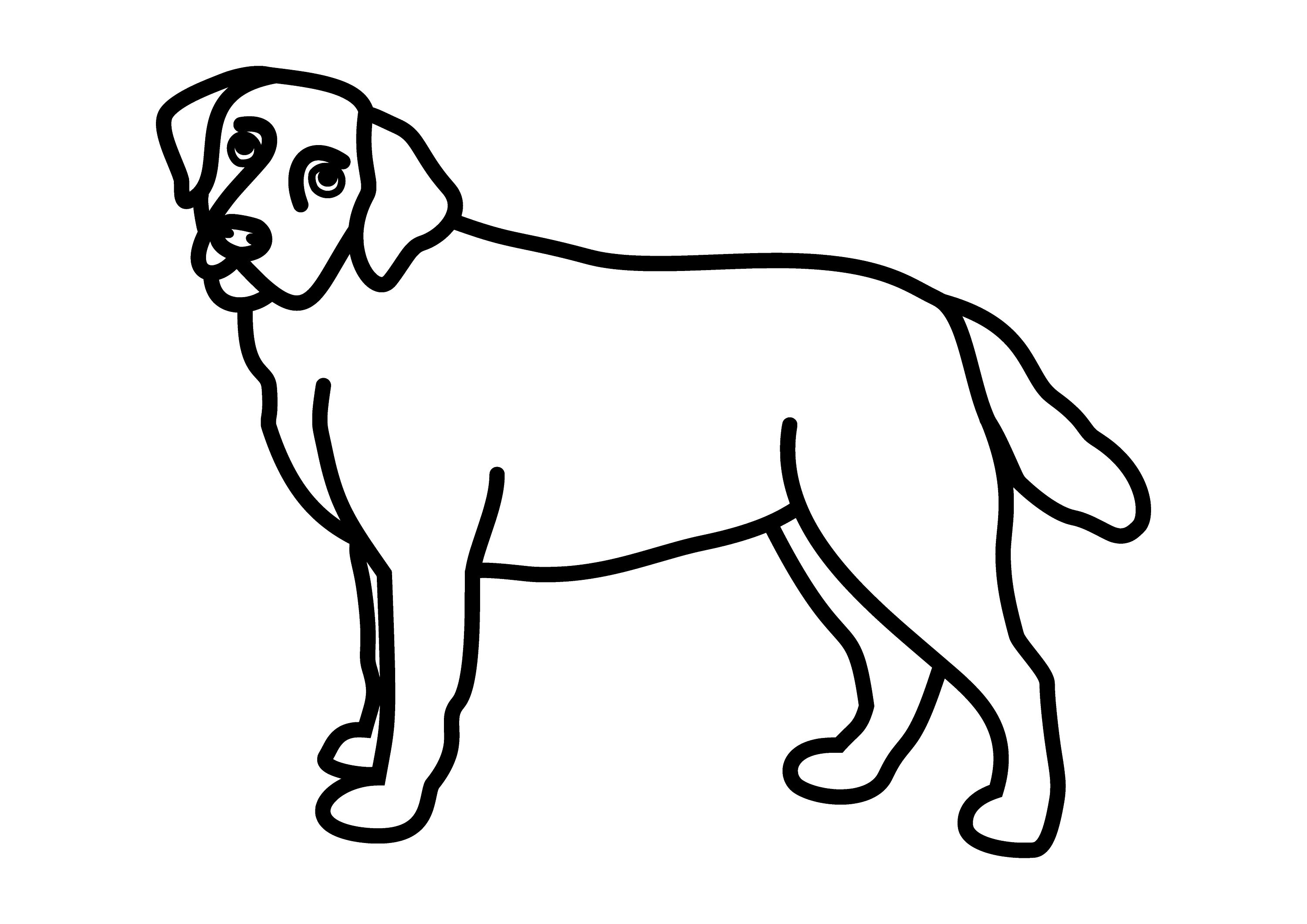 Labrador Digital Download - PNG - SVG - DXF - Jpeg - Instant Download ...