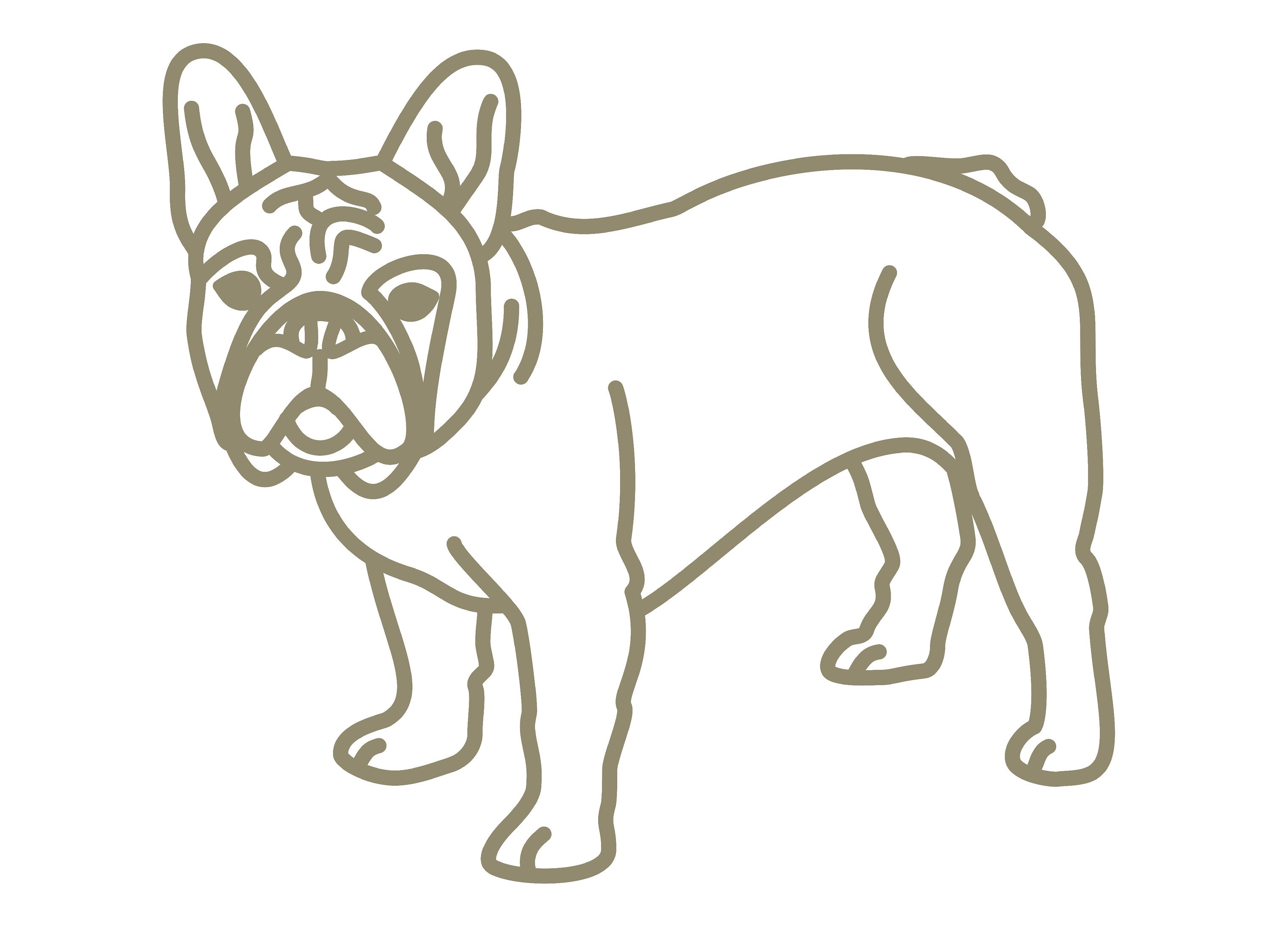Frenchie Digital Download - PNG - SVG - DXF - Jpeg - Instant Download ...
