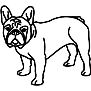 Frenchie Digital Download - PNG - SVG - DXF - Jpeg - Instant Download ...