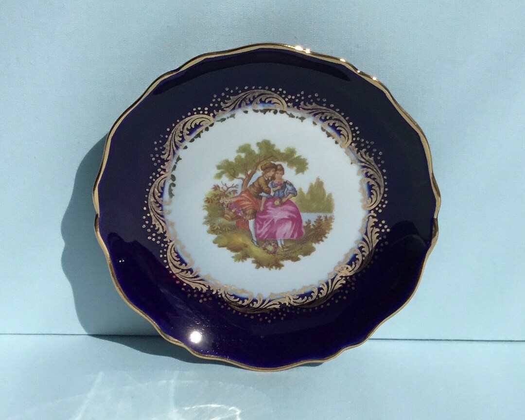 Vintage French Limoges Plate - Etsy