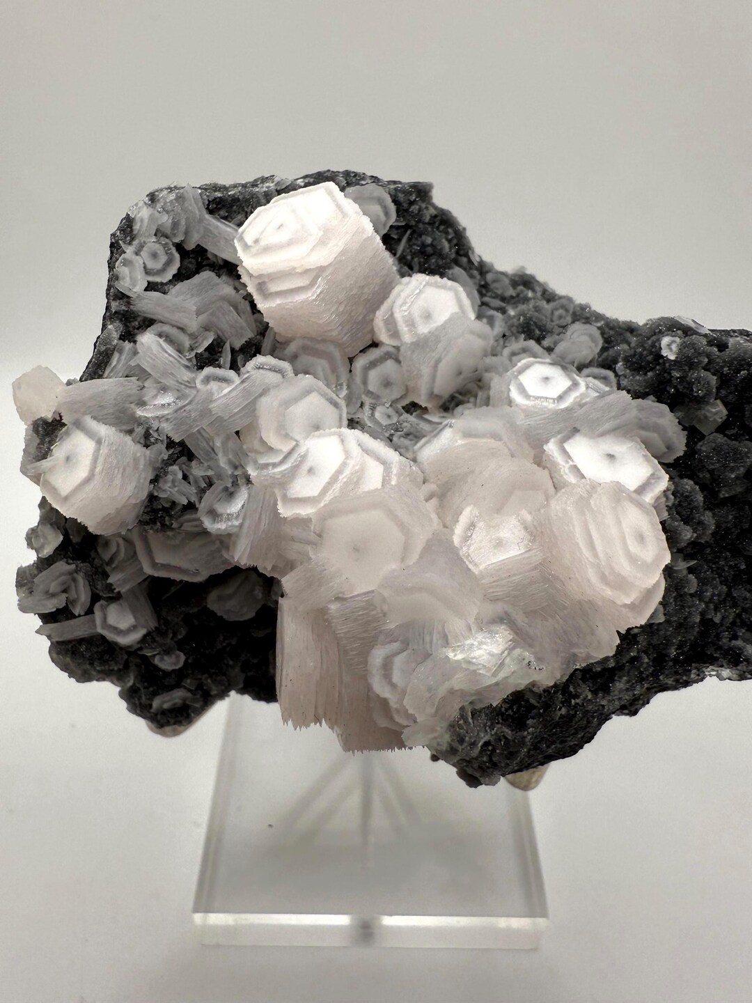 Fluorescent Pink Coin Calcite on Black Matrix With Pyrite - Etsy