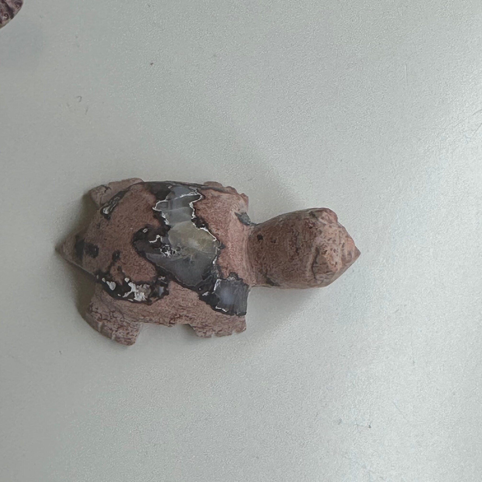 Mexican Fire Opal Turtles/ Small Opal Turtles - Etsy