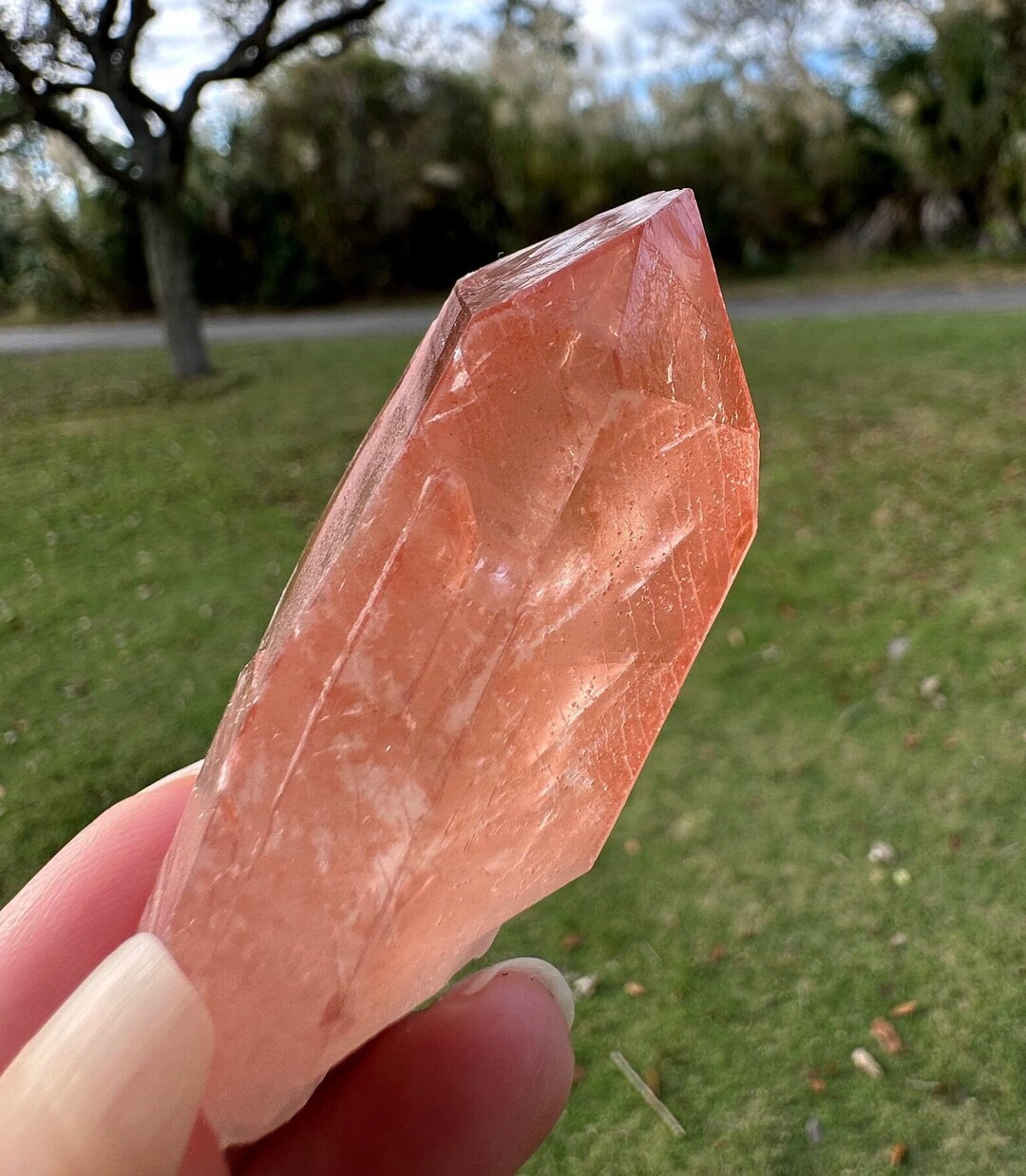 High Grade Scarlet Temple Lemurian/ Super Satured Pink Lemurian - Etsy