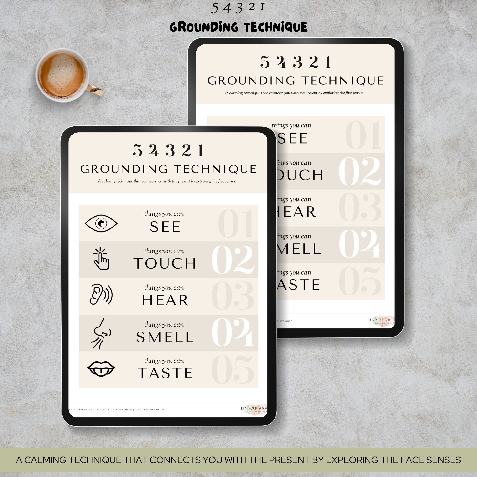 5 4 3 2 1 Grounding Techniques Feelings Poster Grounding Technique ...