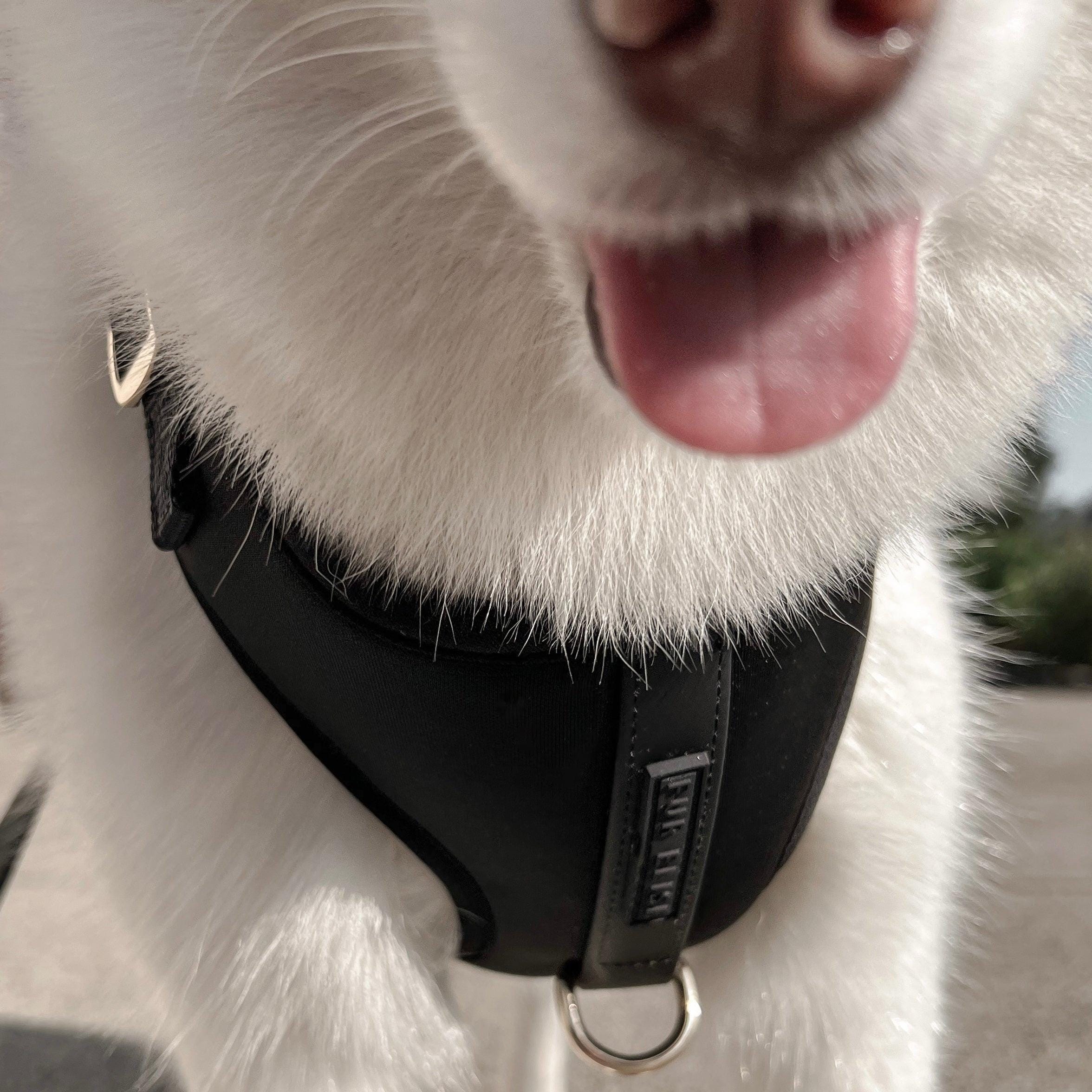 Elise Harness Noir Adjustable H Harness, Soft Neoprene Mesh Lining ...