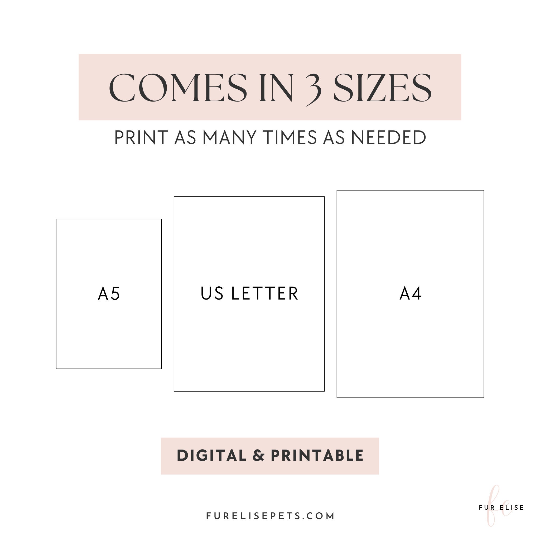 New Kitten Checklist | Ultimate Cat Lady Planner, Kitten Essentials ...