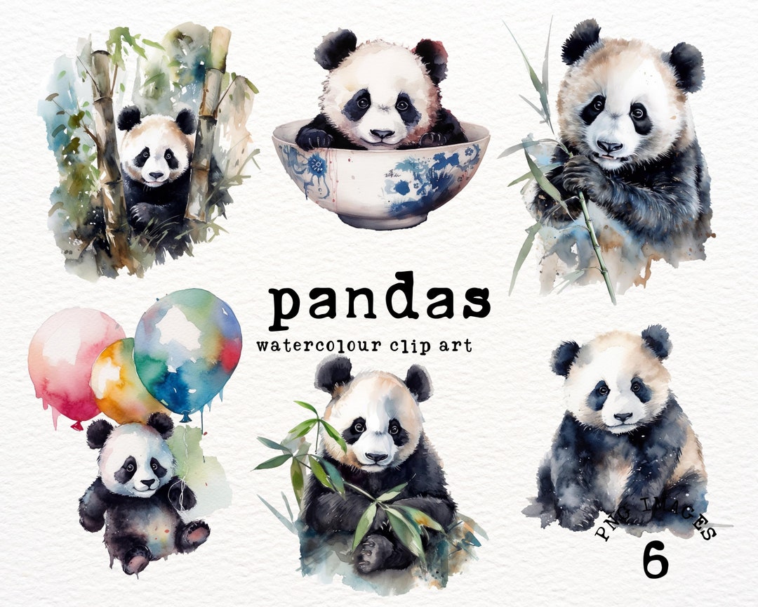 Panda Clipart Watercolor Panda Png Print Transparent - Etsy