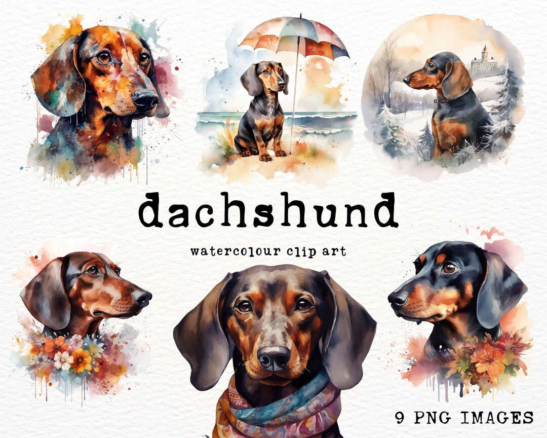 Dachshund Png Transparent Dog Clipart Water Color Dachshund Scrapbook ...