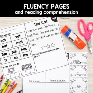 Decodable Books CVC Word Readers Kindergarten Printable Books - Etsy