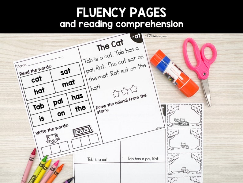 Decodable Books CVC Word Readers Kindergarten Printable Books - Etsy