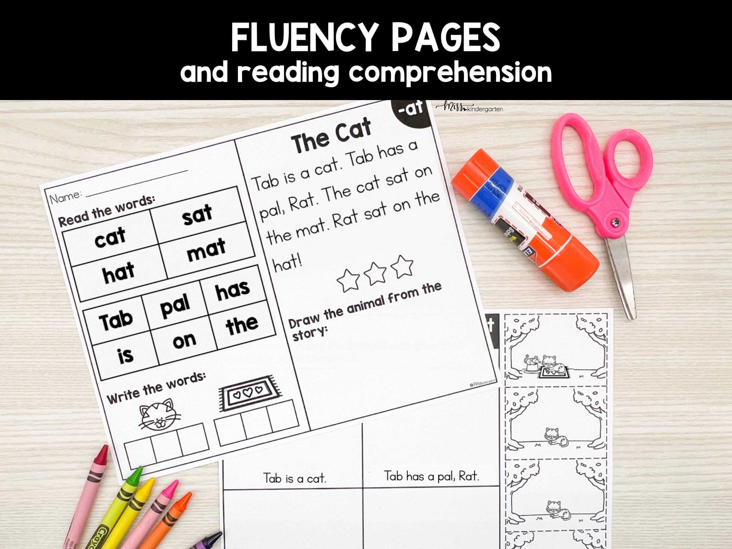 Decodable Books CVC Word Readers Kindergarten Printable Books - Etsy