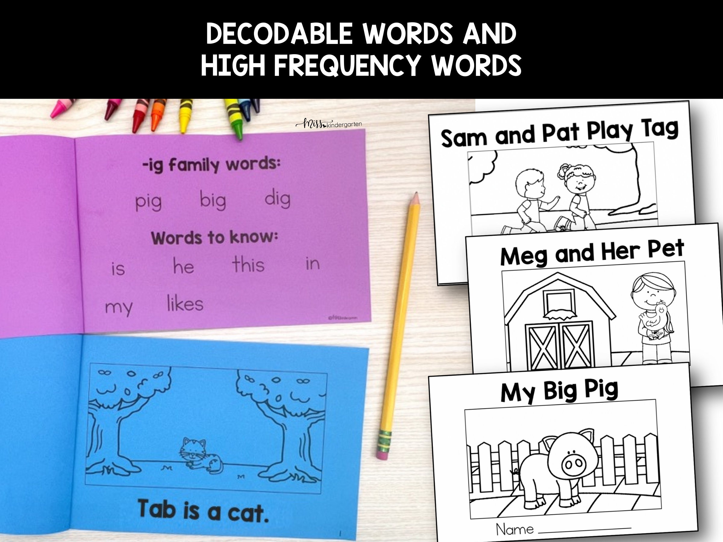 Decodable Books CVC Word Readers Kindergarten Printable Books - Etsy
