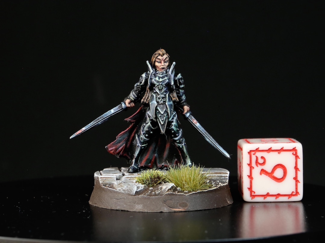 Painted Miniature | Drow | Elf | Ranger | Rogue - Etsy