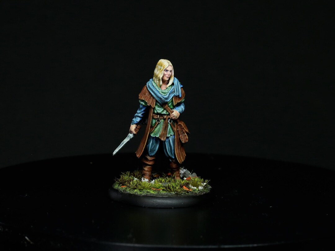 Rogue | Dungeons and Dragons | Painted Miniature - Etsy