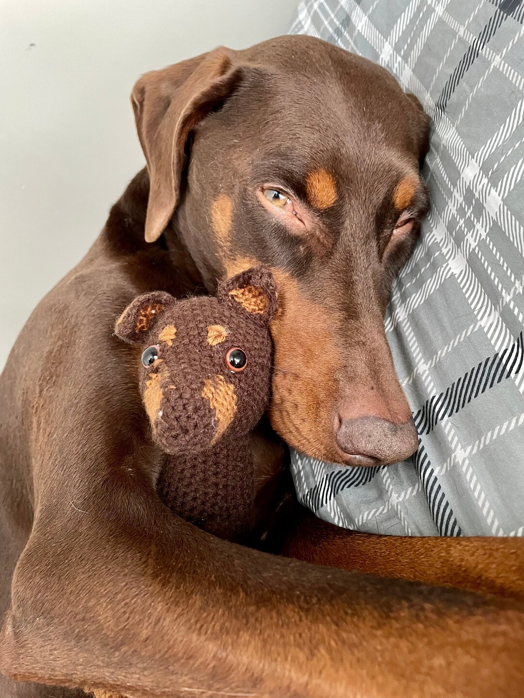 Custom Crochet Stuffed Animals - Etsy
